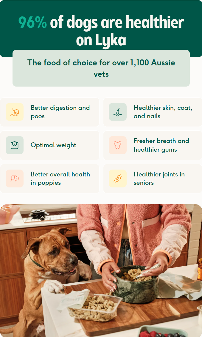 Lyka Dog Food - Perfect Pets