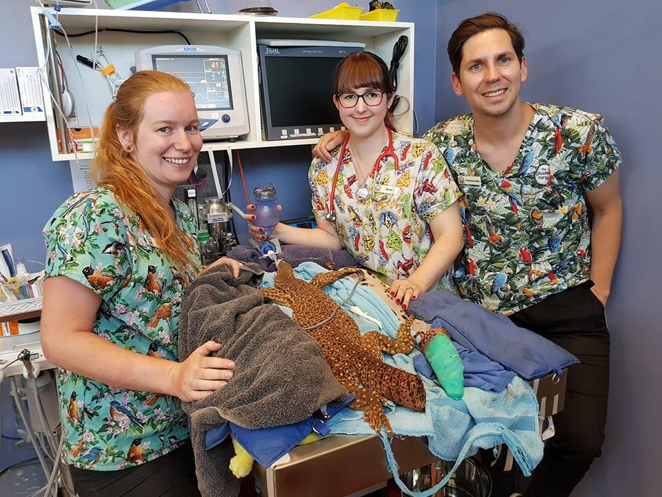 The Unusual Pet Vets Murdoch - Perth, WA - Perfect Pets