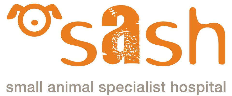 SASH Sydney - Animal Hospital, Emergency Vet, North Ryde - Sydney, NSW ...
